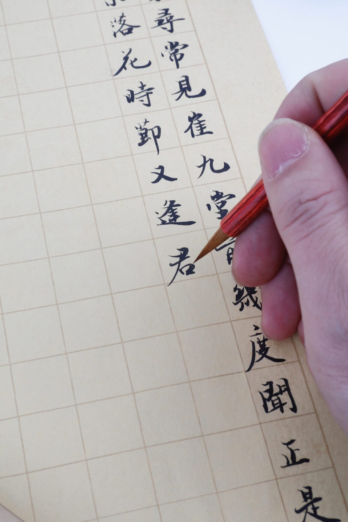 Chinese Language Course - Mitrin - The Language School